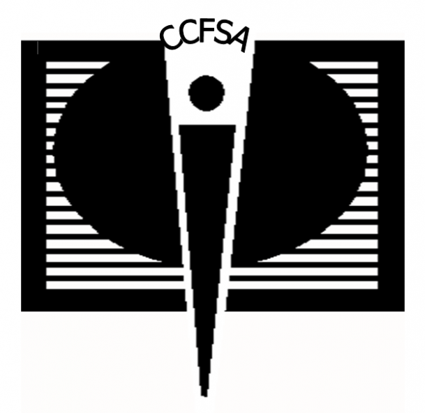 marketing-bulb – Centre communautaire des femmes Sud-Asiatiques – The ...